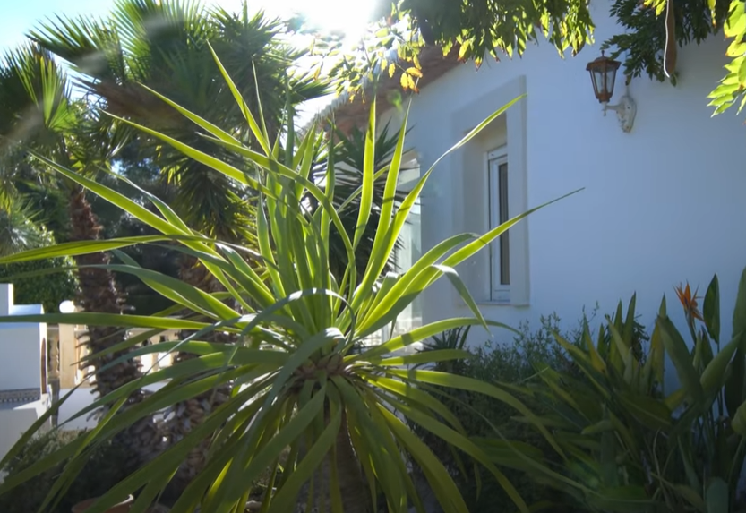 Right-wing press spins more Brexit hypocrisy over Spain’s proposed 100% ...